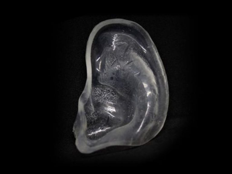 Mother of Rugby Player Invented Her Own Cauliflower Ears Protection ...