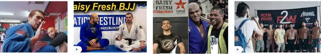The Jiu Jitsu Team: What is Daisy Fresh BJJ - BJJaccessories