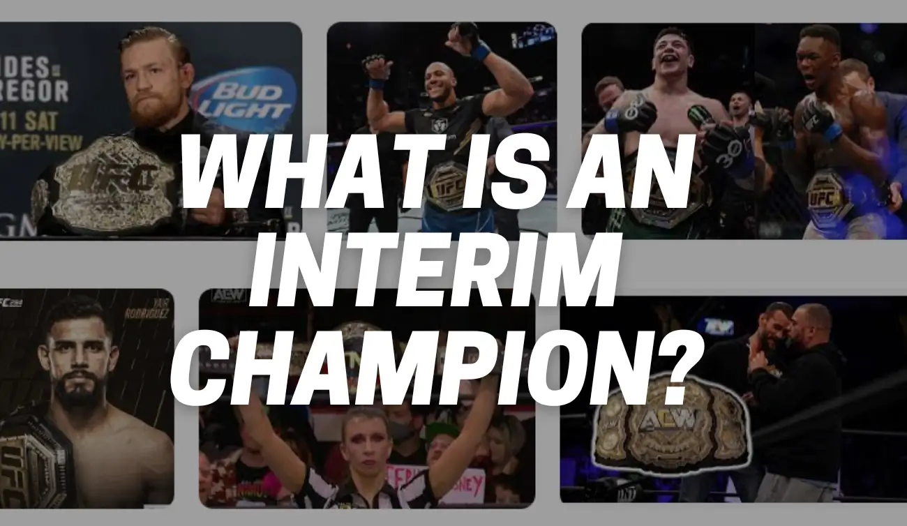 What is an Interim Champion? [Explained] - BJJaccessories